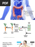 Positioning of Arterial Line Transducer at The Phlebostatic Axis | PDF ...