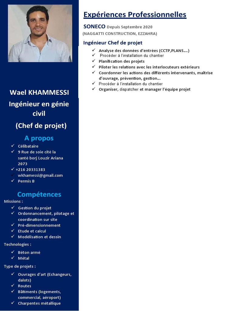 CV Wael | Descargar gratis PDF | Ingénierie | Secteurs de l'économie