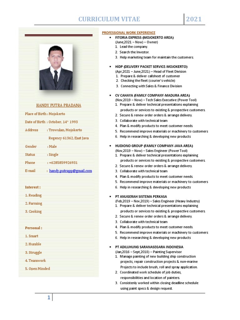 CV - Handy Putra Pradana | PDF | Business | Art