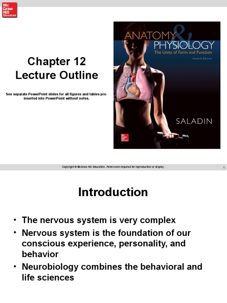 ch12 Lecture | PDF | Axon | Myelin