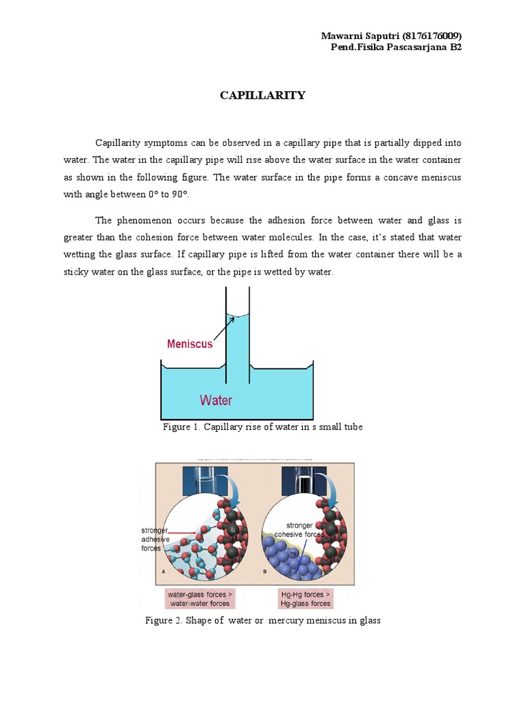 Capillarity: Mawarni Saputri (8176176009) Pend - Fisika Pascasarjana B2 ...