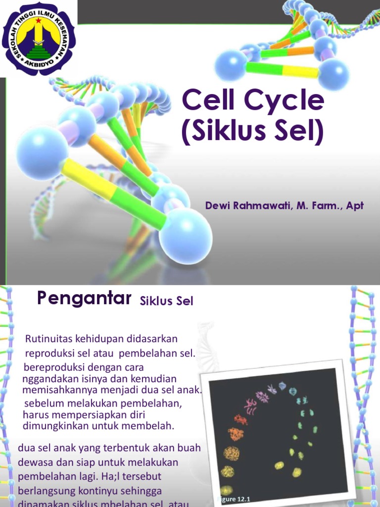 Siklus Sel | PDF