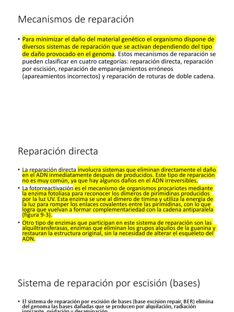 Mecanismos de Reparación - Exposición | PDF | Reparación de adn | Adn