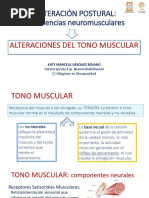 Fisiología del Tono Muscular Explicada | PDF | Músculo | Neurona