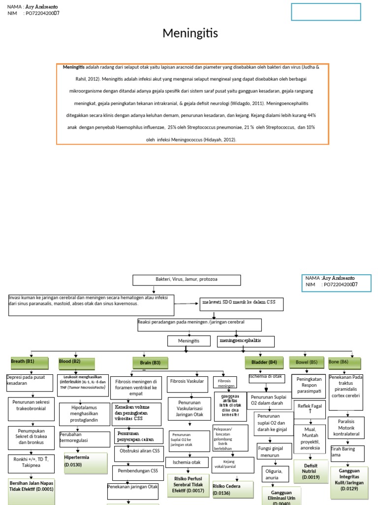 WOC Meningitis Ary | PDF