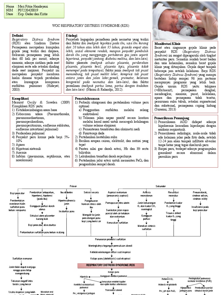 Woc Rds Nicu Meri | PDF