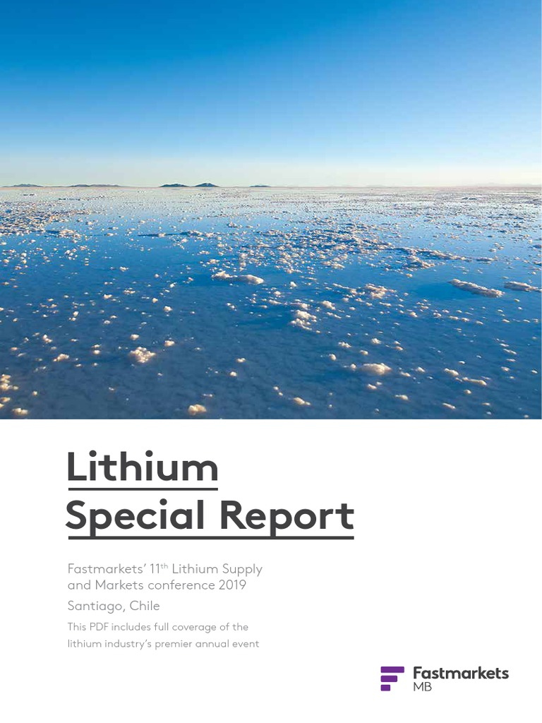 Lithium Special Report: Clear Outlook | Descargar gratis PDF | Lithium ...