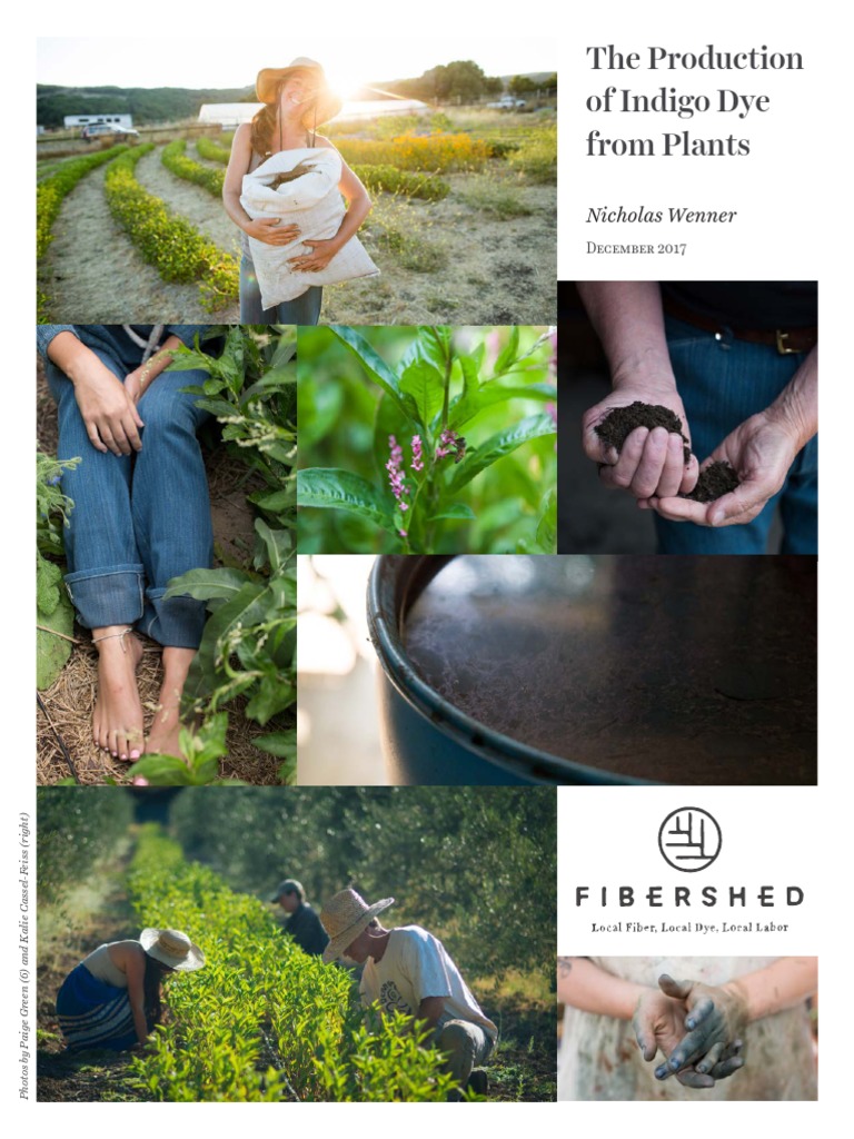 The Production of Indigo Dye From Plants (PDFDrive) | PDF | Dyeing | Dye