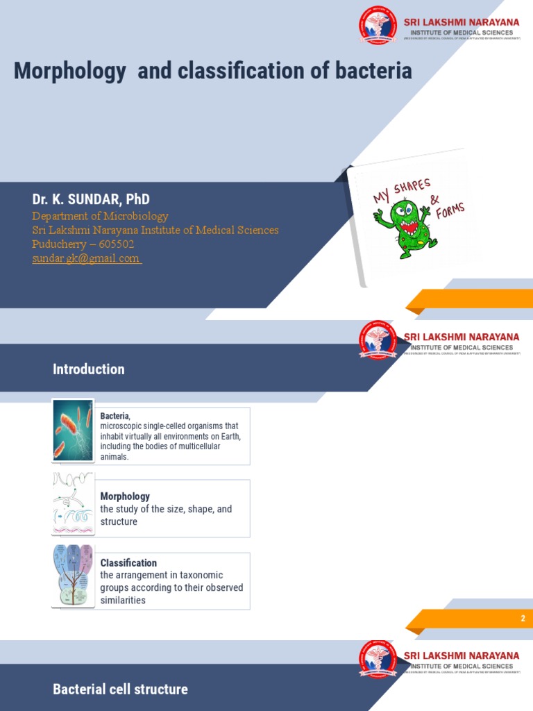 Morphology and Classification of Bacteria - Sundar | PDF | Bacteria ...