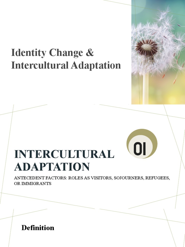 Identity Change & Intercultural Adaptation | PDF | Identity (Social ...
