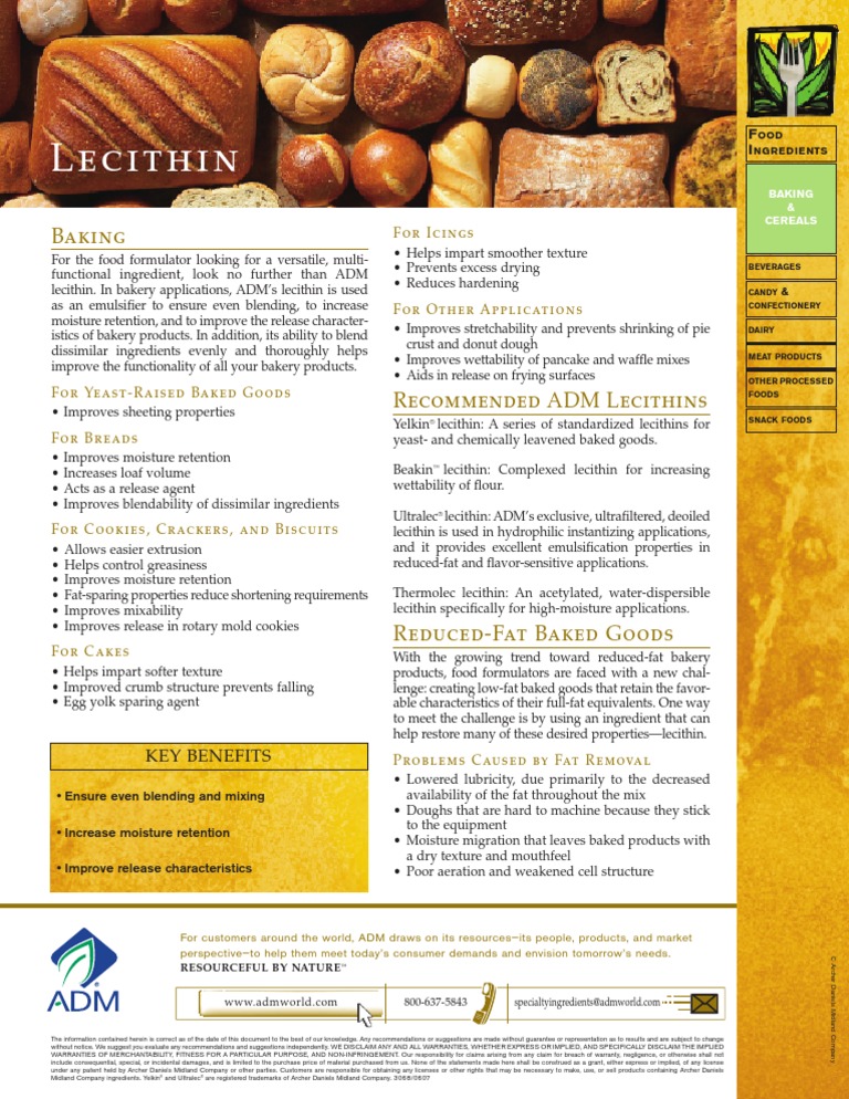 ADM Lecithin For Baking | PDF | Foods | Food And Drink