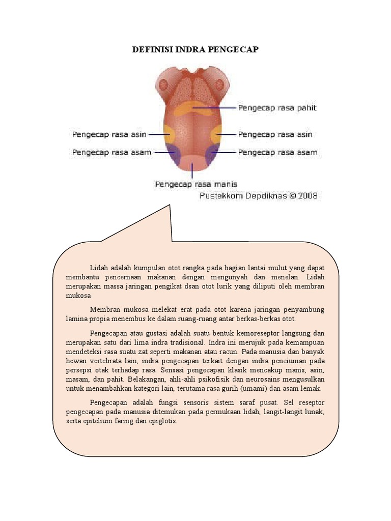 Definisi Indra Pengecap | PDF