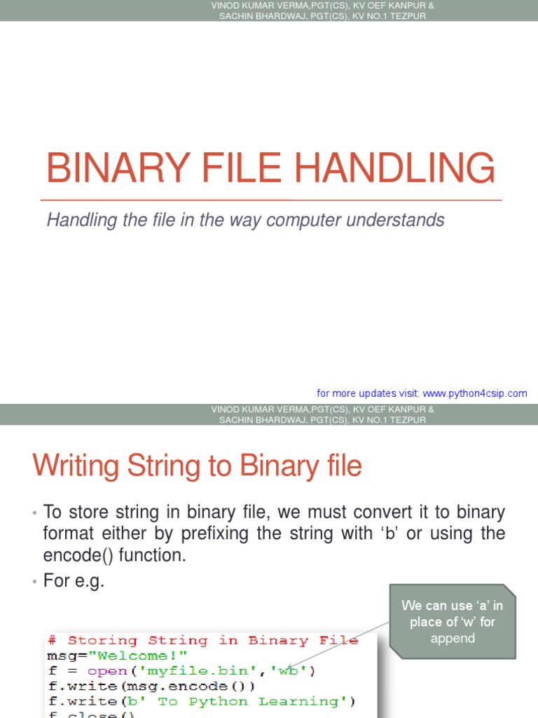 0051 Binary File Handling Pdf Computing Computer Data