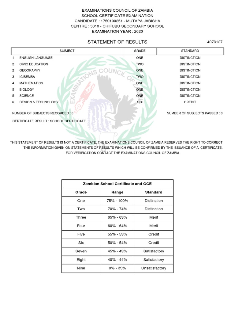 G12 Statement - 28 - 07 - 2021 | PDF | Zambia | Vocational Education