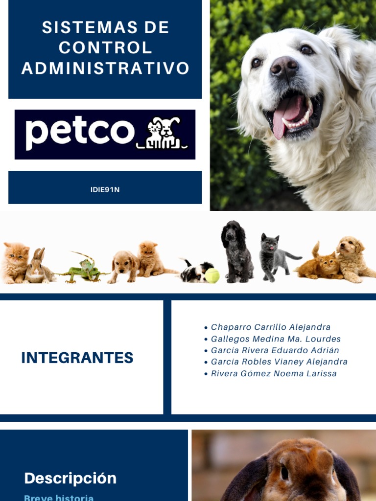 PETCO | Descargar gratis PDF | Cliente | Planificación
