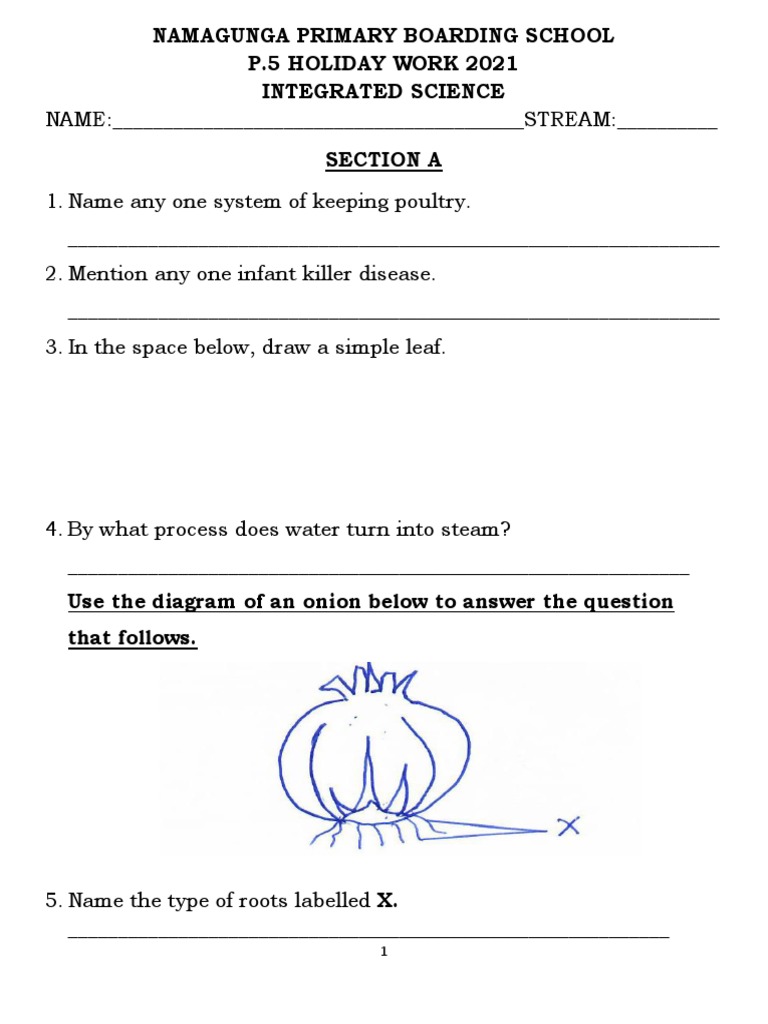 Namagunga Primary Boarding School P.5 Holiday Work 2021: An Integrated ...