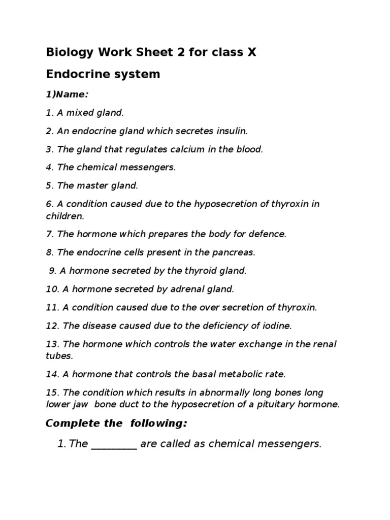 Endocrine System Worksheet | PDF | Endocrine System | Hormone