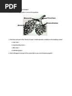 Science 9 Quarter 1 Module 4 Biodiversity | PDF | Biodiversity | Evolution