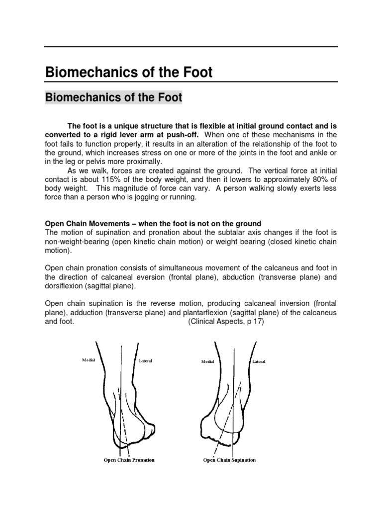 Foot Biomechanics: Movement & Gait | PDF | Anatomical Terms Of Motion ...