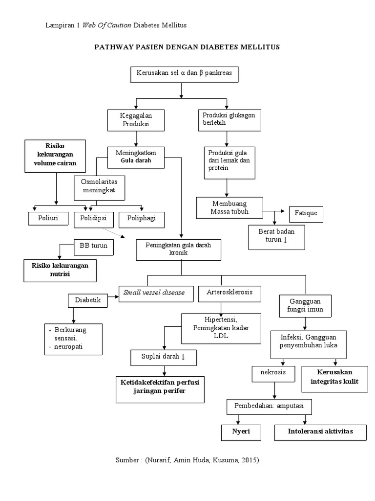 Pathway Diabetes Mellitus dan WOC | PDF