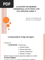 Anatomy of Dermo-Epidermal Junction and Its Applied Aspect | PDF ...