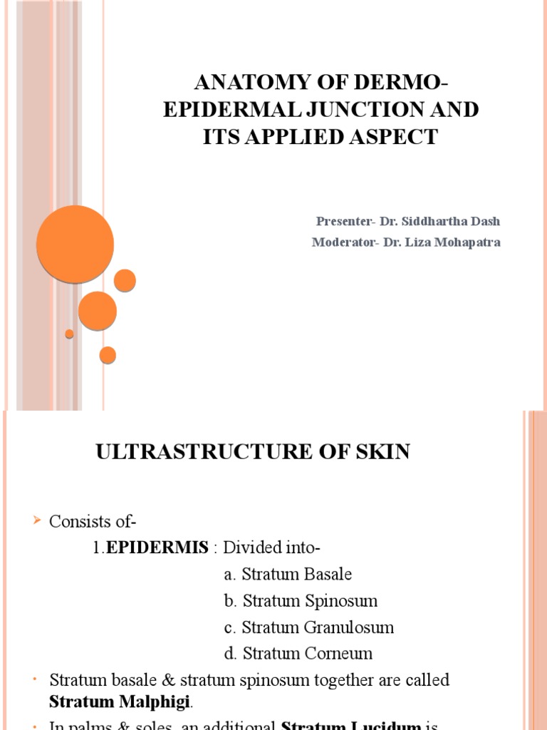 Anatomy of Dermo-Epidermal Junction and Its Applied Aspect | PDF | Collagen | Integrin