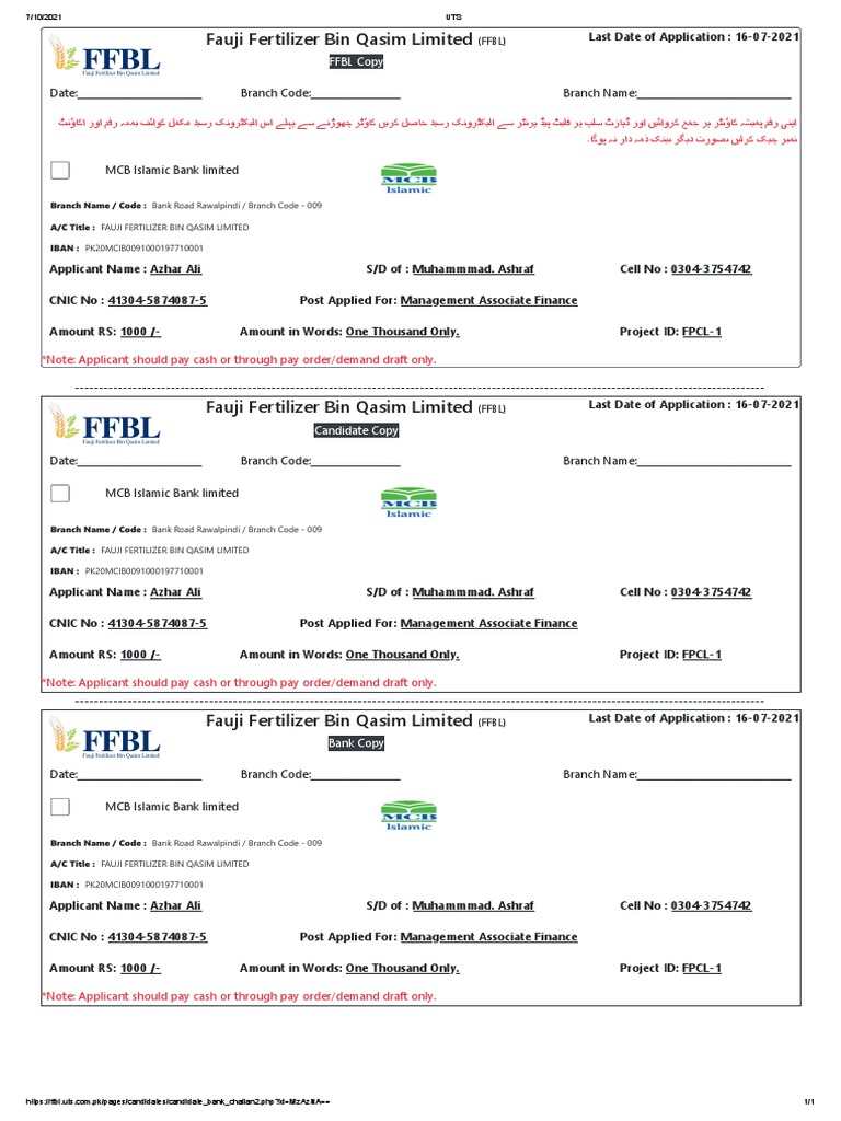Fauji Fertilizer Bin Qasim Limited: FFBL | PDF | Economies | Money