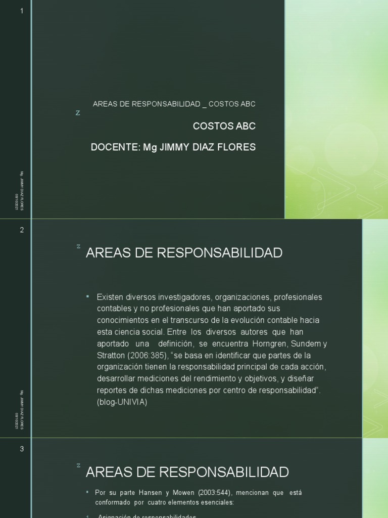 Areas de Responsabilidad Abc | PDF | Contabilidad | Business