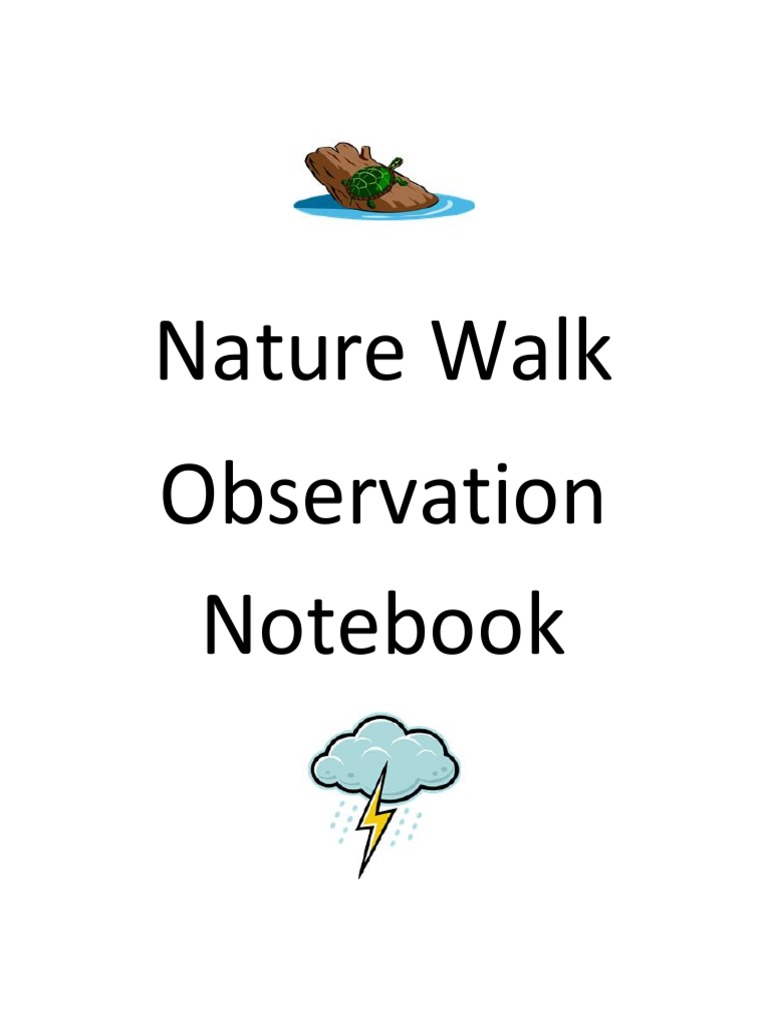 Nature Walk Observation Notebook1 | PDF | Wound | Weather