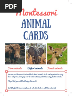 Children Around The World Montessori Cards | PDF | Art | Wellness