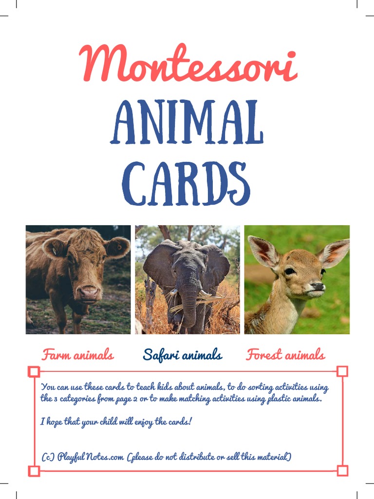 Montessori Animal Cards Printable 2 | PDF