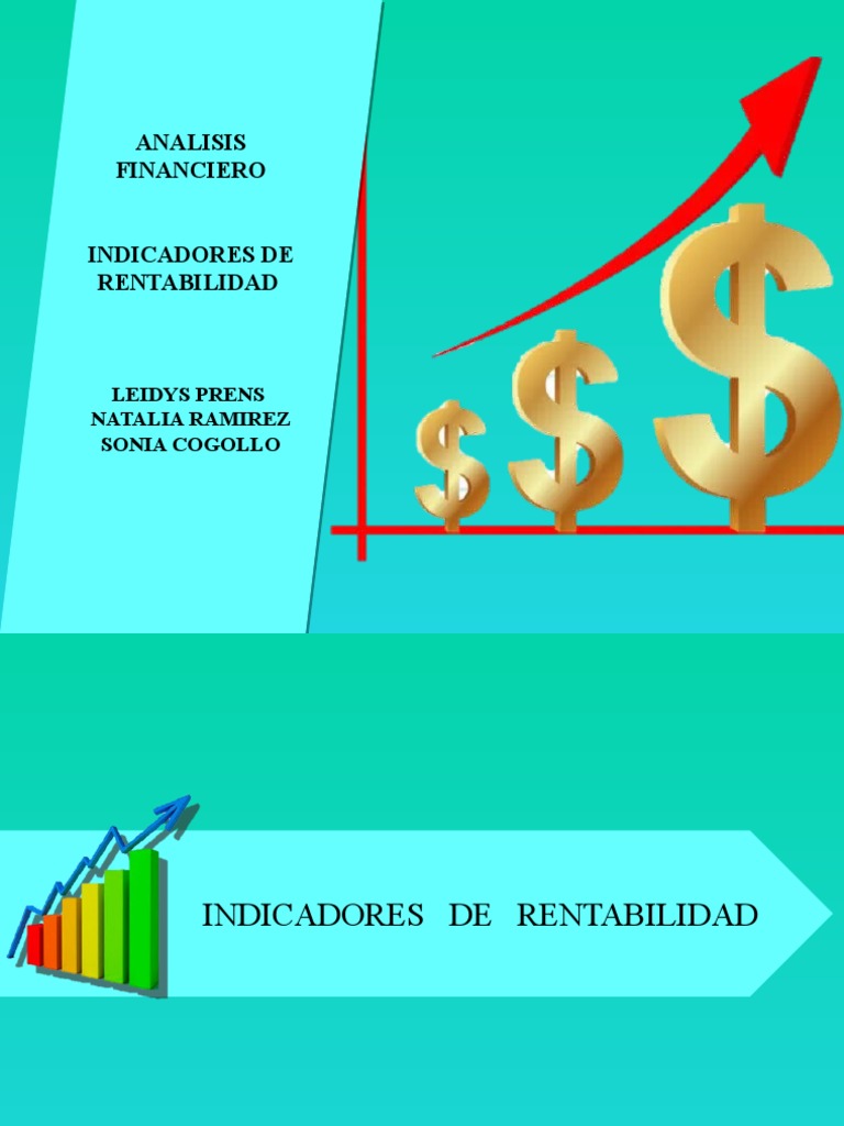 Indicadores de Rentabilidad | PDF | Rentabilidad sobre recursos propios | Inversiones