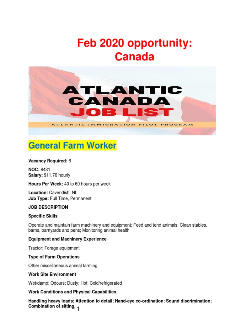 Canada Job Opportunity List | PDF | Plumbing | Patient