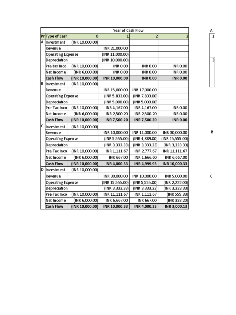 Valuing Capital Investment Projects | PDF | Net Present Value ...