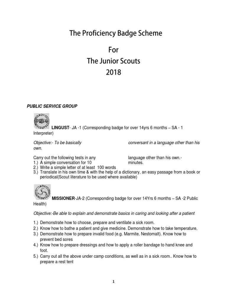 Proficiency Badge Syllabus Junior Scouts | PDF | First Aid | Stars