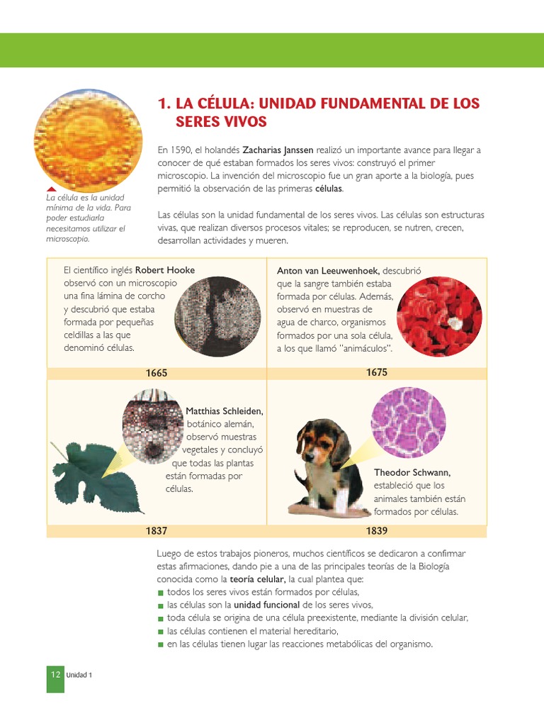 1 - La Celula Unidad Fundamental de Los Seres Vivos | PDF | Biología ...
