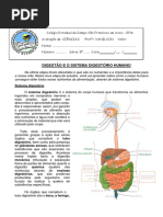 Diferença entre Quimo e Quilo | PDF | Digestão | Estômago
