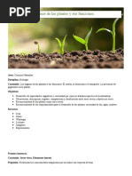 Proyecto de Germinación para Niños | PDF | Plantas | Semilla