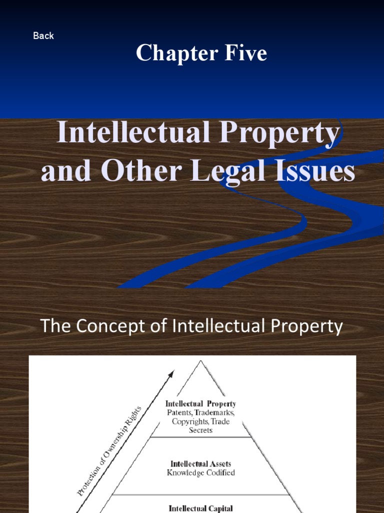 Chapter Five: Intellectual Property and Other Legal Issues | PDF ...