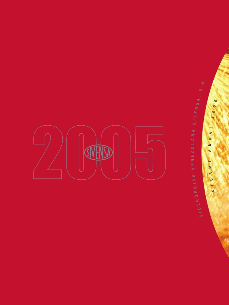 2 - Sivensa 2005 Bajo Niif | PDF | Deuda | Compartir (Finanzas)