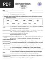 Identification Test for Grade 7 Statistics | PDF | Statistics | Data