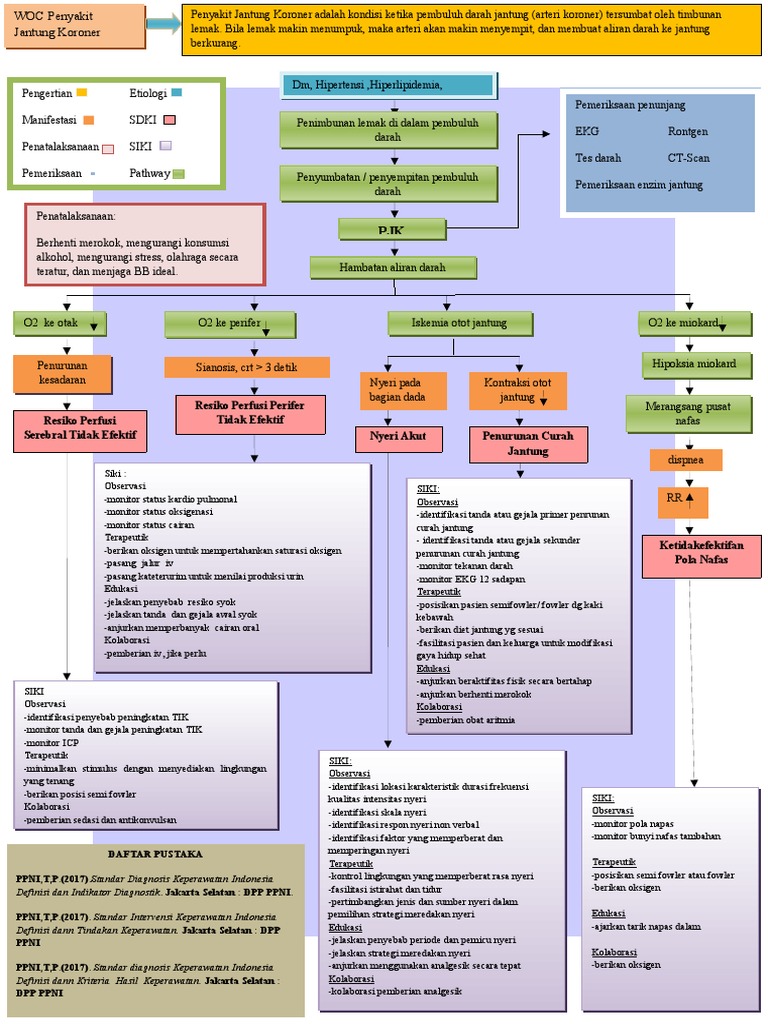 Pathway Penanganan Penyakit Jantung Koroner | PDF