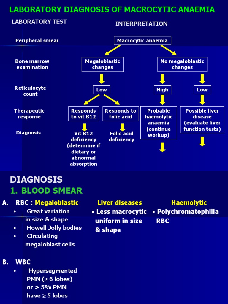 Laboratory Test Interpretation | PDF | Anemia | Red Blood Cell