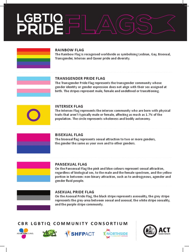 Pride Flags Guide Printable | Download Free PDF | Lgbt | LGBTQIA+ Studies