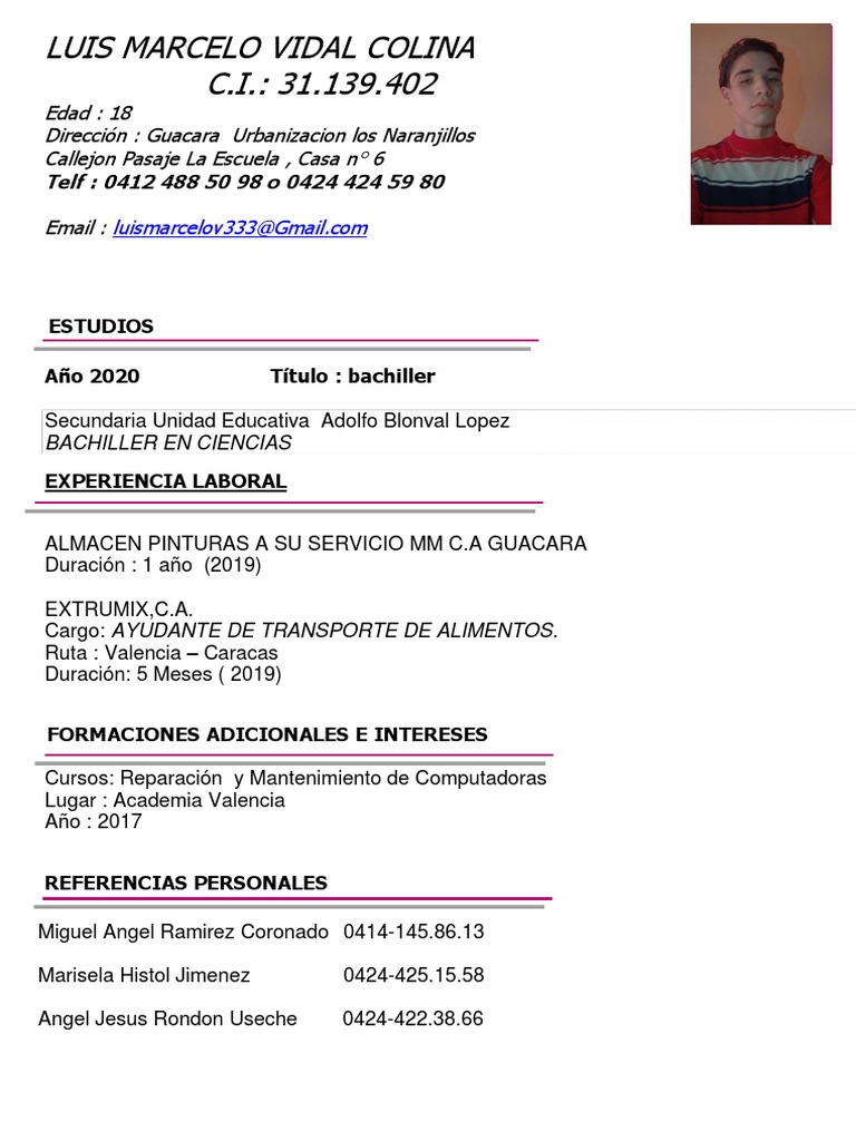 Curriculum Marcelo | PDF