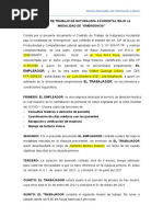 Contrato Accidental Emergencia | PDF | Derecho laboral | Gobierno