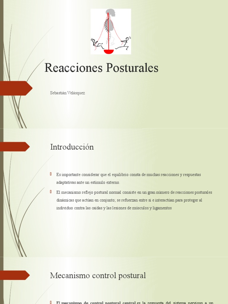 Reacciones Posturales | PDF | Músculo | Enfermedades y trastornos