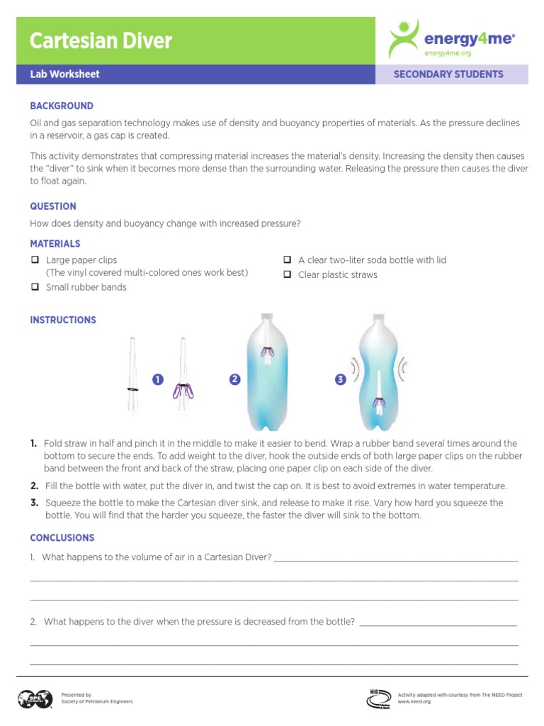 Cartesian Diver Worksheet