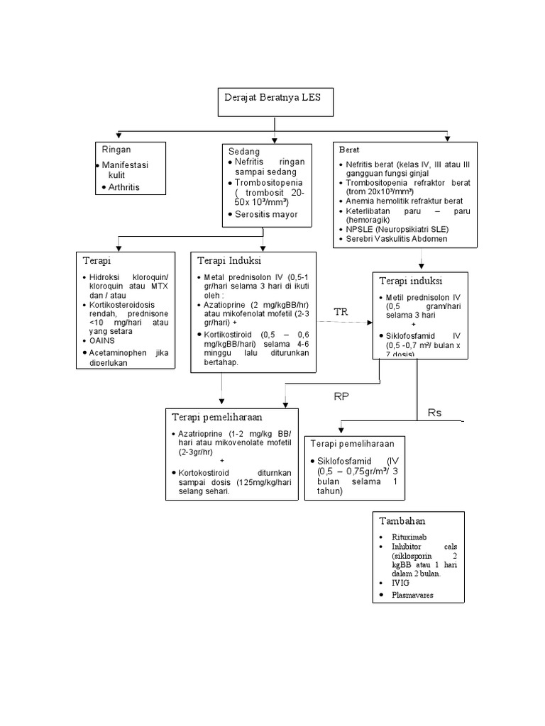 Alur Terapi Lupus | PDF