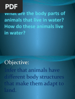 Animal Classification Chart - Invertebrates | PDF | Invertebrate | Zoology